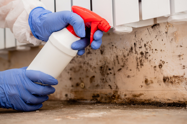 5 Helpful Tips For Removing Pesky Mould From Your Walls