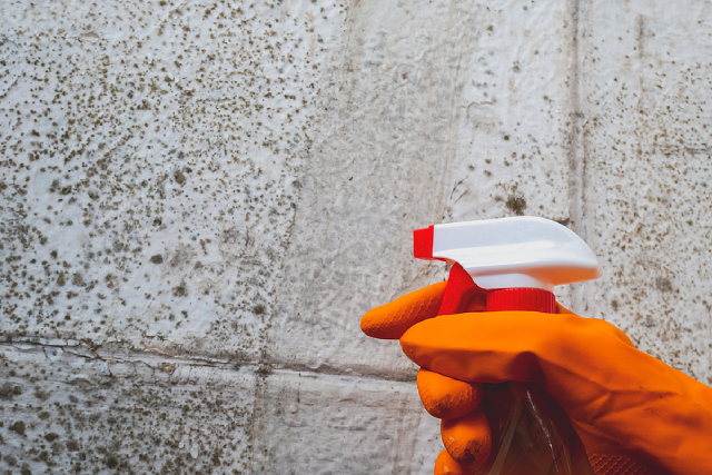 How To Keep Your Bathroom Mould-Free All Year Round